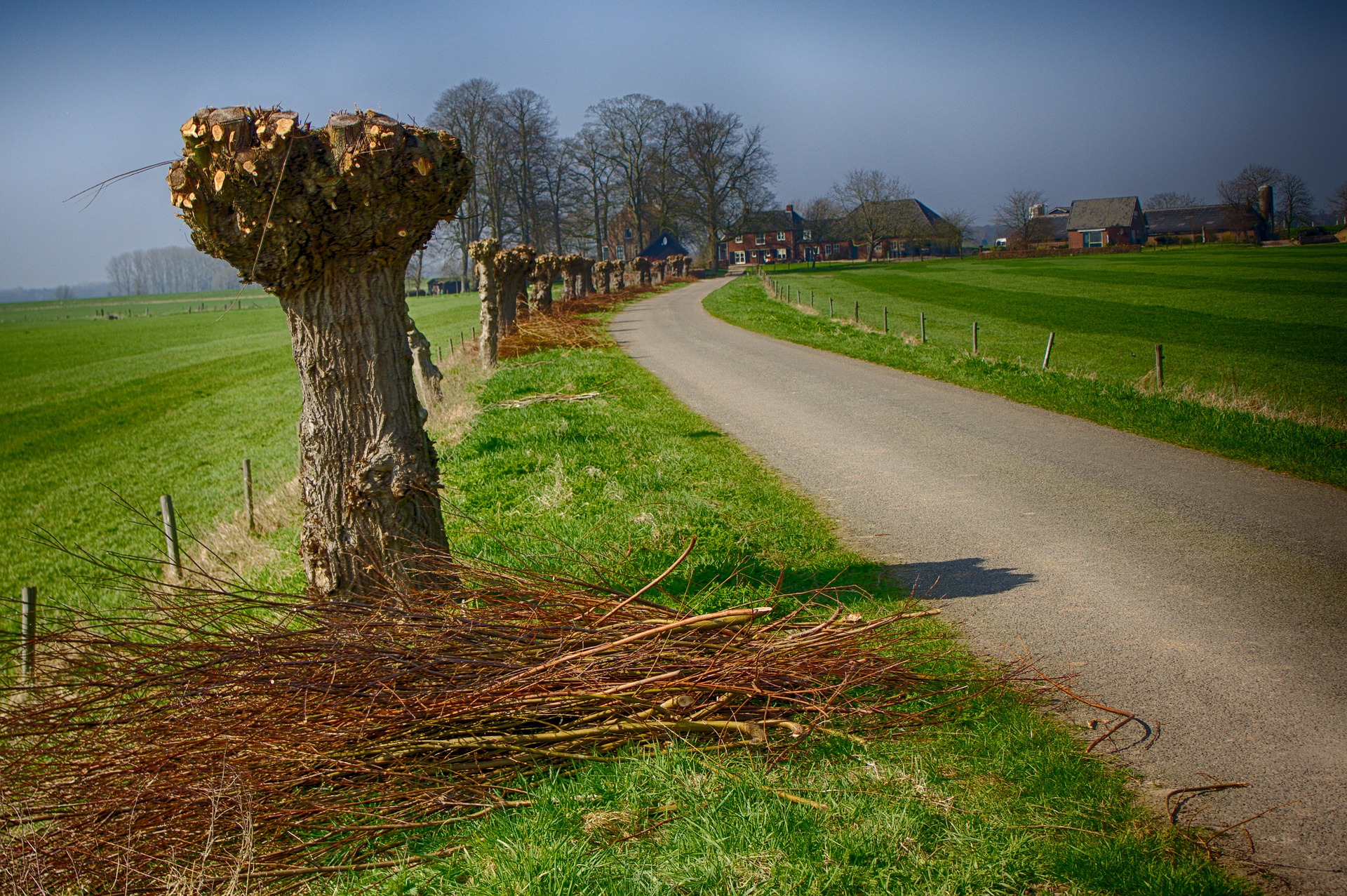 Landschapselementen - Natuurinclusieve Landbouw Landschapselementen - Natuurinclusieve Landbouw